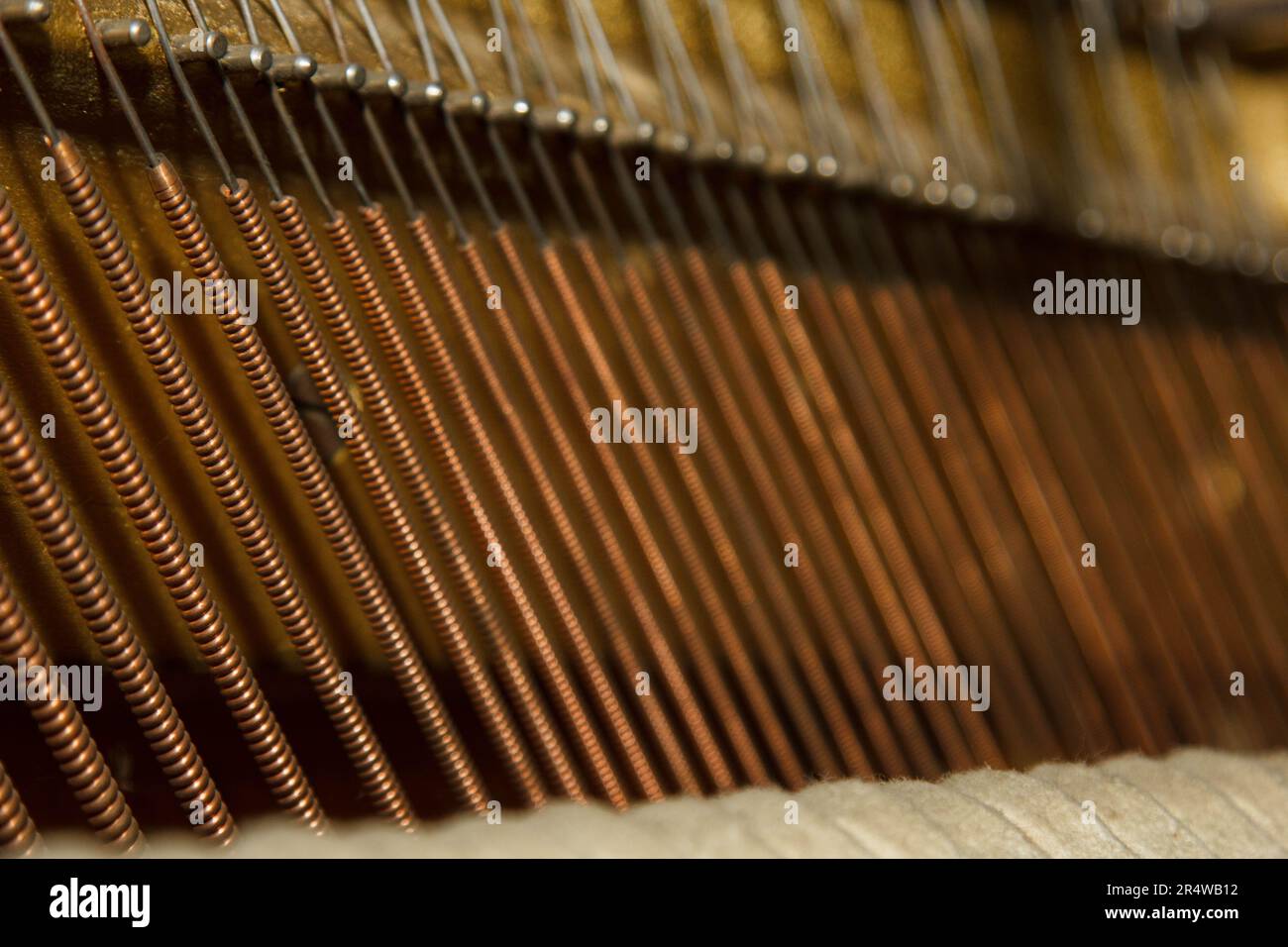 Repair of a stringed musical instrument. The interior of a piano with ...
