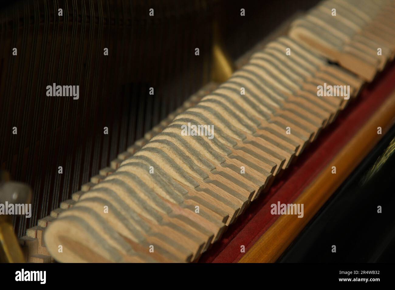 Repair of a stringed musical instrument. The interior of a piano with ...