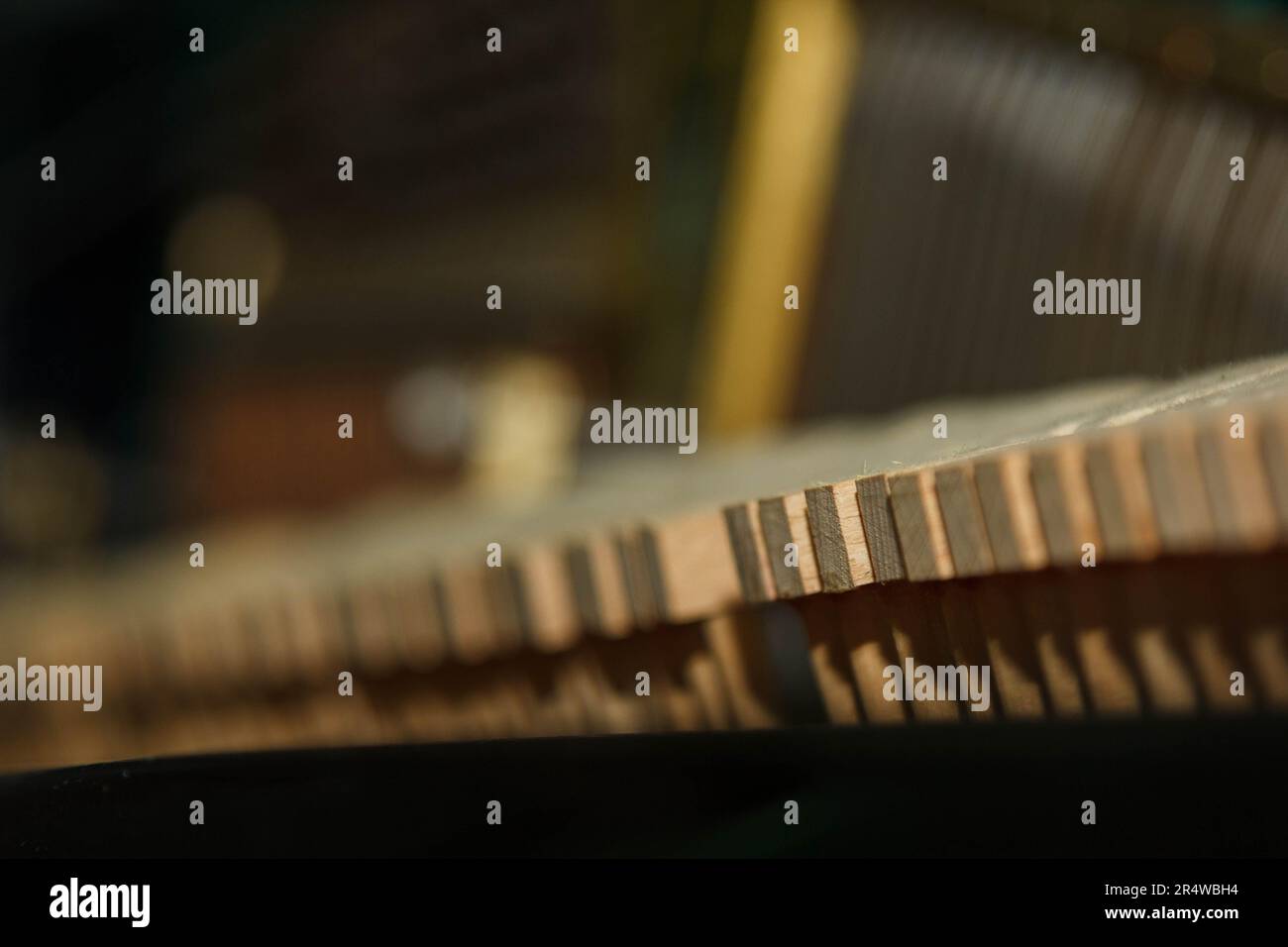 Repair of a stringed musical instrument. Inside view of a piano with ...