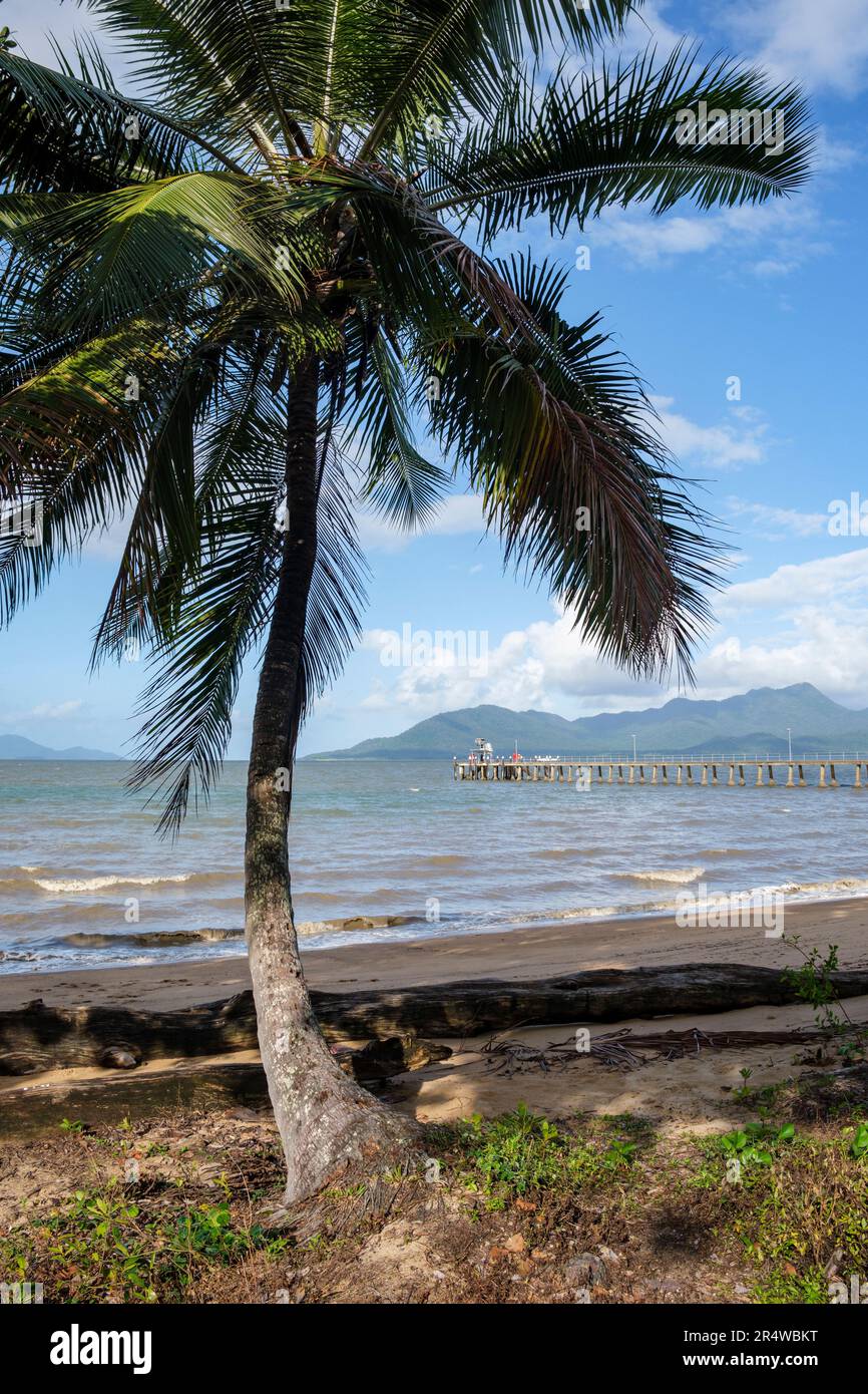 A view of the pier and Hinchinbrook Island from the foreshore at ...