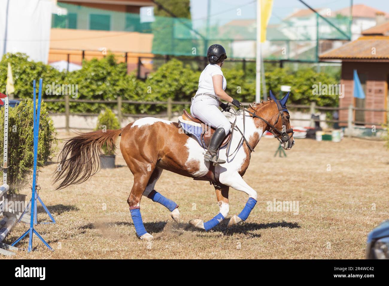 Female rider riding a spotted horse in the outdoor arena. Mid shot ...