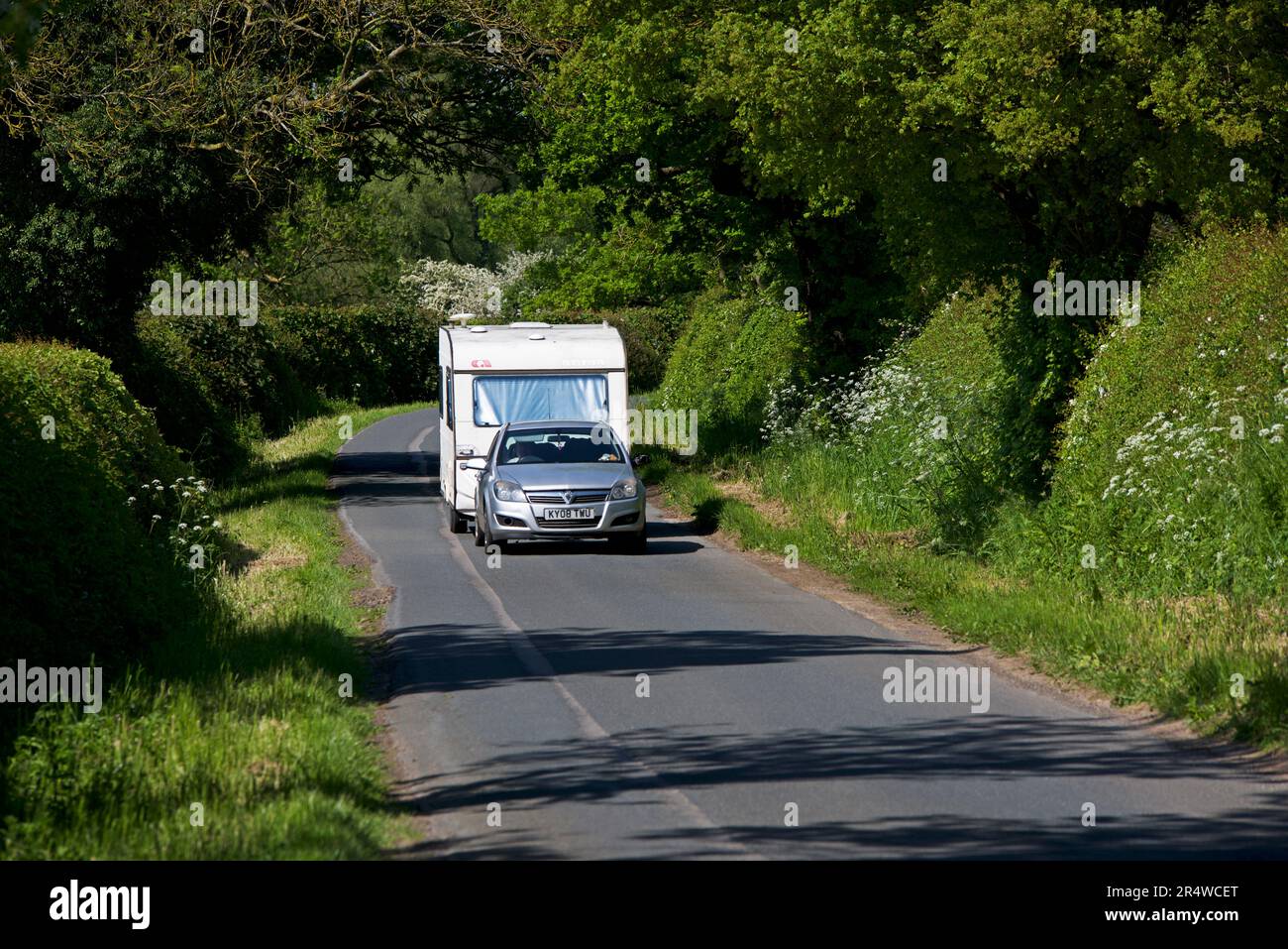 Car pulling caravan on single track Breighton Road, East Yorkshire ...