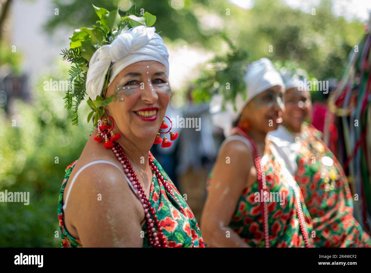 The Carnival of Cultures in Berlin reached its pinnacle with the grand ...