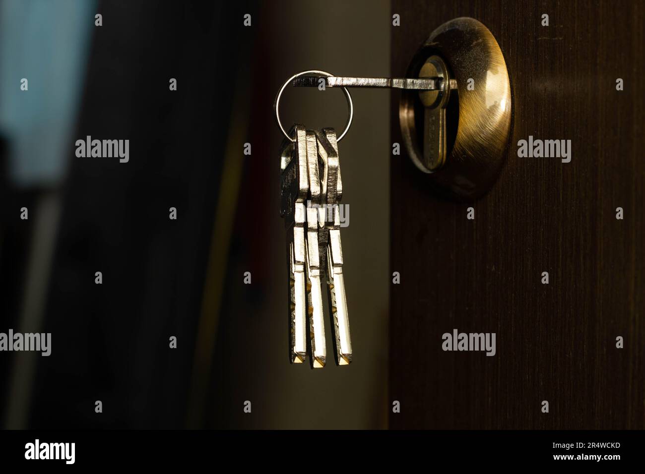 Bunch of keys sticks out of the door lock. Stainless steel keys ...