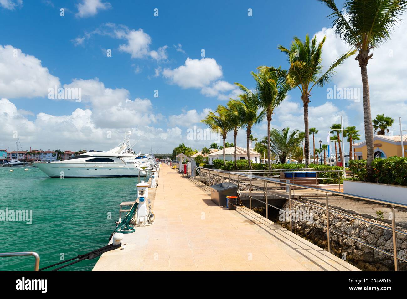 yacht harbour with pier dock and palm trees. summer yacht in harbour ...
