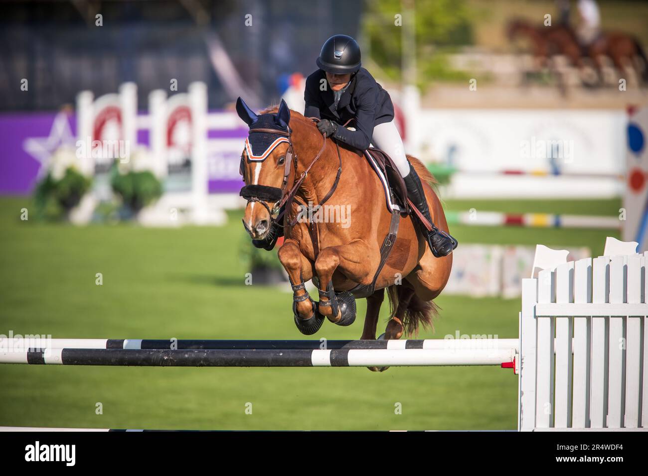 Laura Jane Tidball of Canada competes during the Major League Show ...