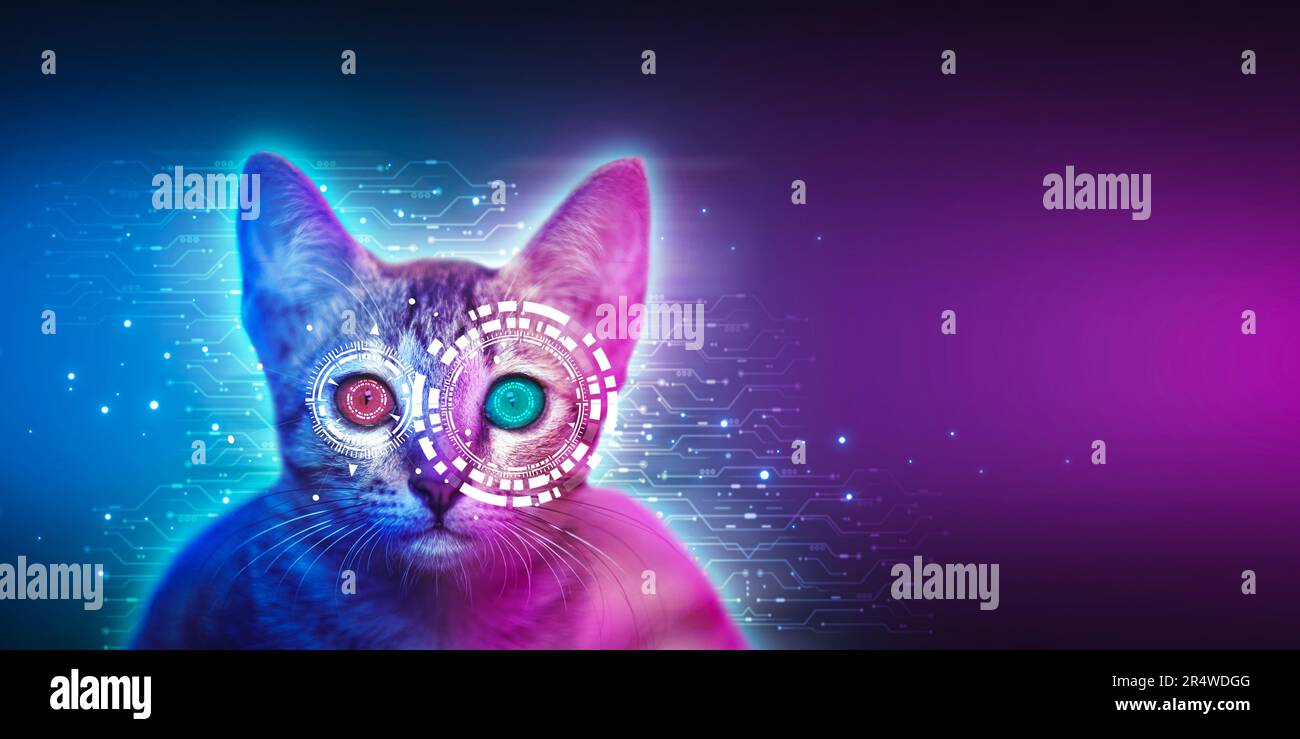 Cybernetic cat hi-res stock photography and images - Alamy
