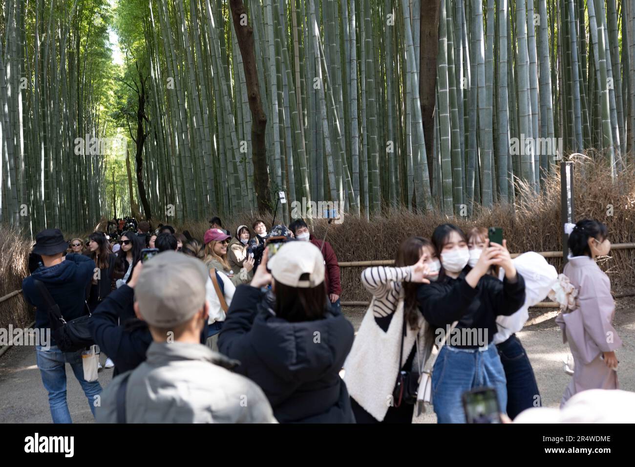 Kyoto, Japan. 7th Mar, 2023. Crowds of tourists viewing and taking ...