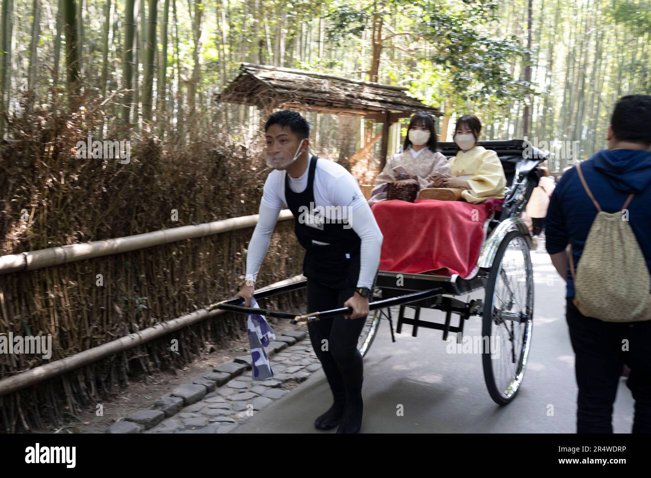 March 7, 2023, Kyoto, Japan: Women in traditional Japanese kimonos ...