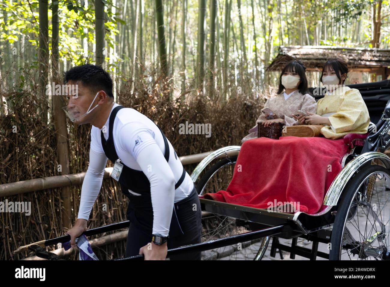 March 7, 2023, Kyoto, Japan: Women in traditional Japanese kimonos ...