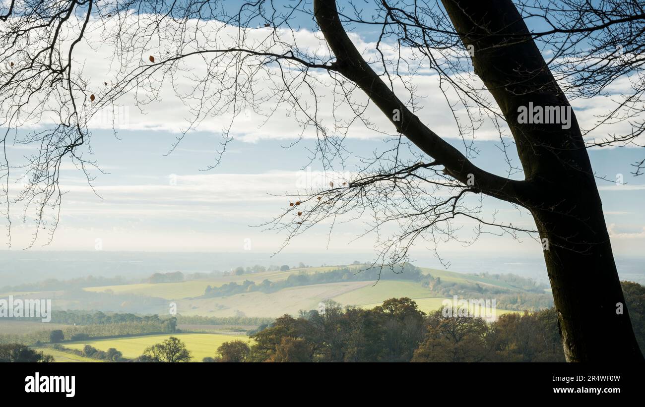 View the Halnaker Hill, Sussex, UK Stock Photo - Alamy