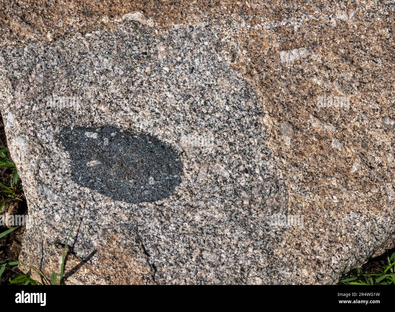 An inclusion consists of mainly dark minerals inside a lighter colored ...