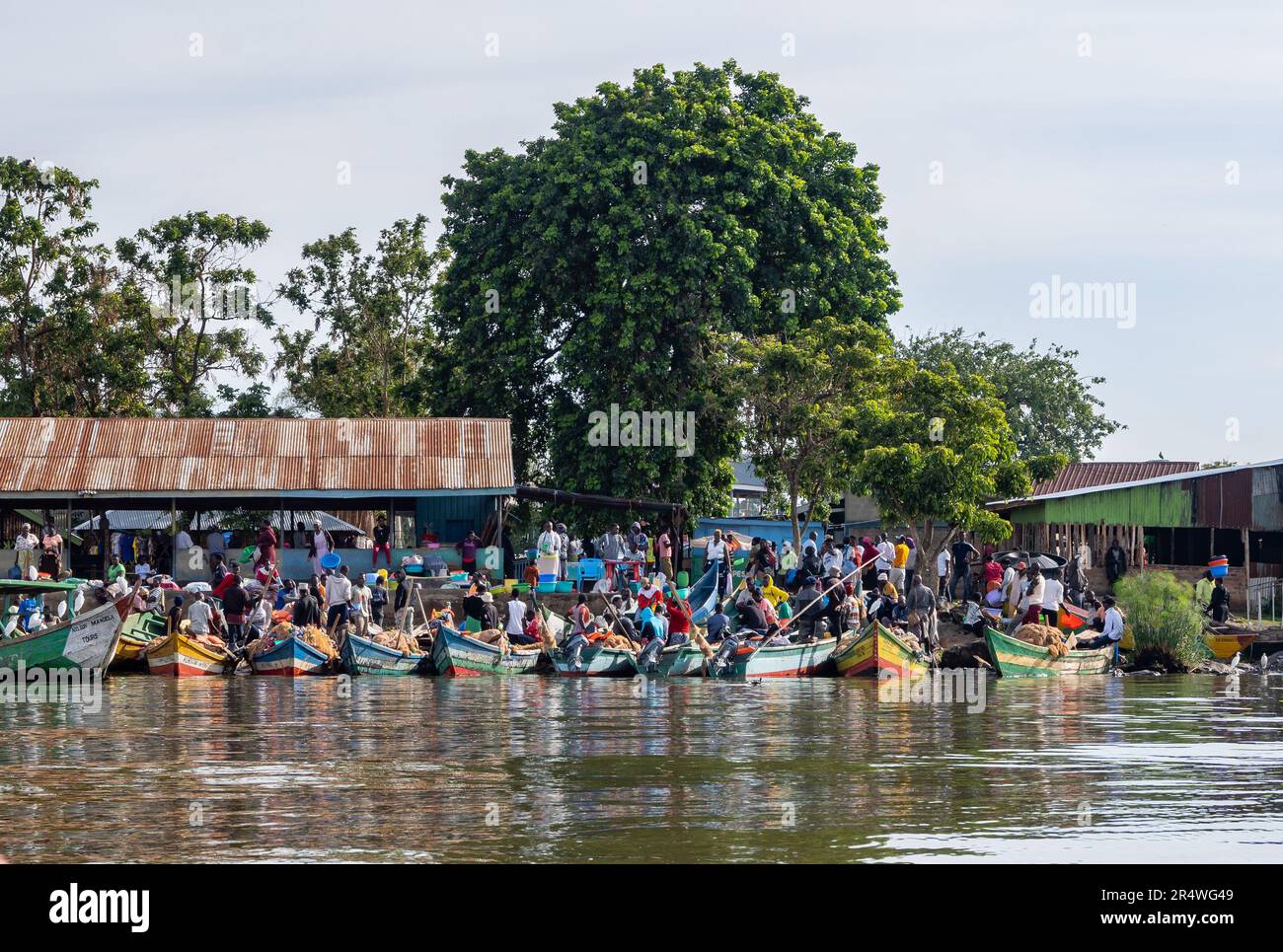 Busy fish market on the shore of Lake Victoria. Kenya, Africa Stock ...