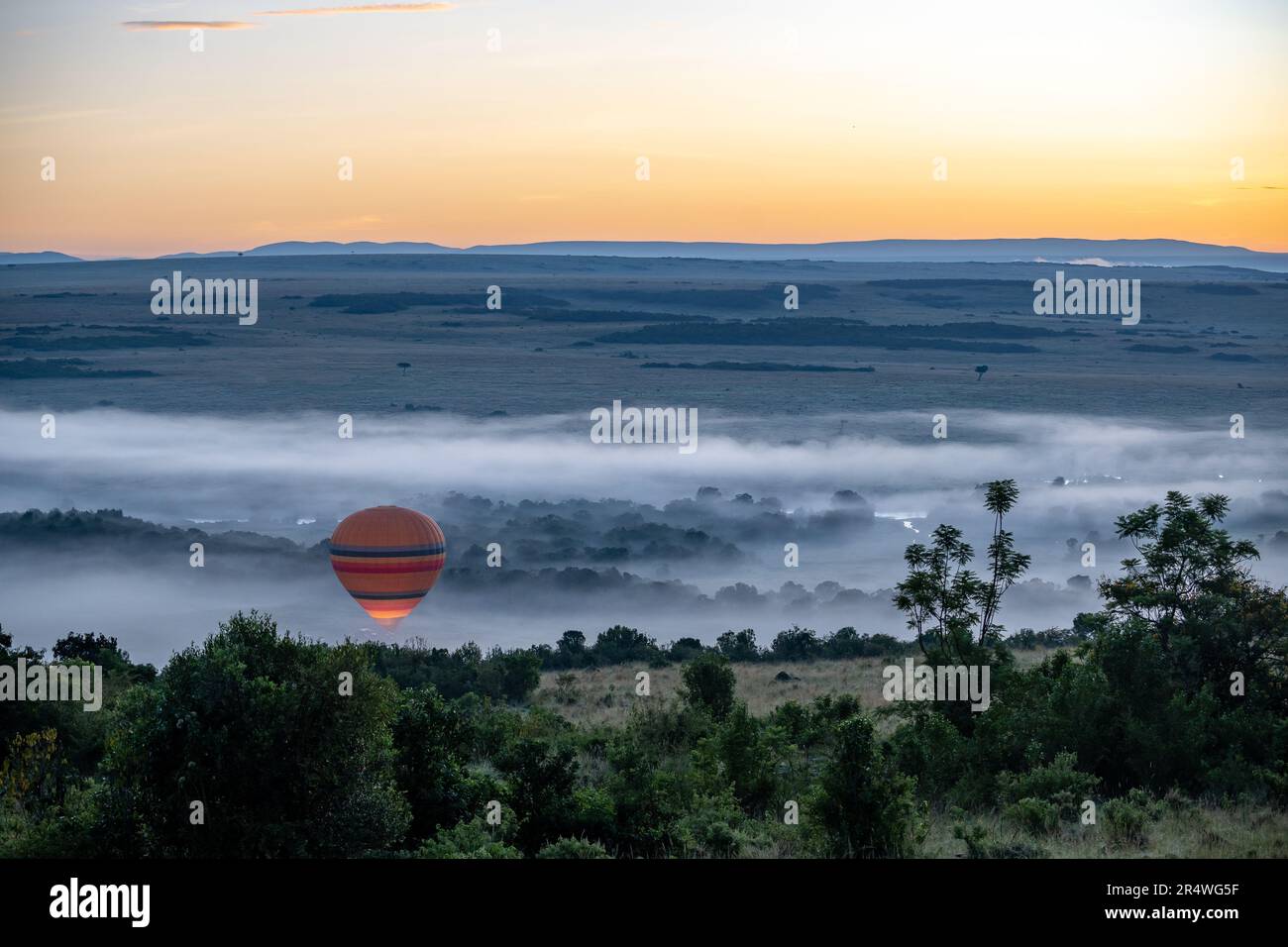 Hot air balloon rising above cloud covered wildness at sunrise. Maasai ...