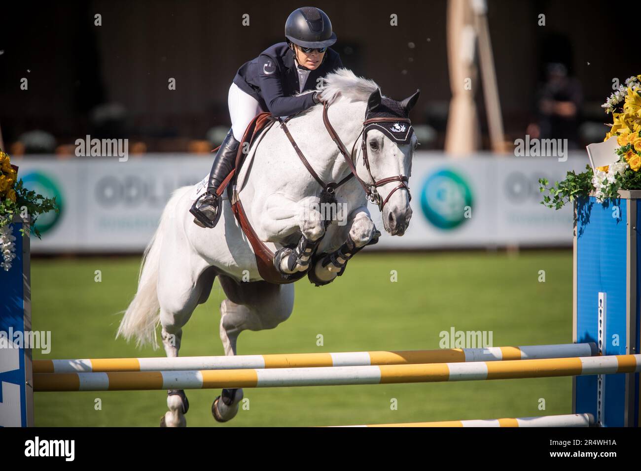 Thunderbird horse park hi-res stock photography and images - Alamy