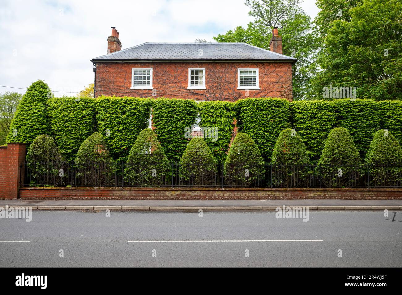 Double hedge used for sound proofing and carbon absorption from traffic ...