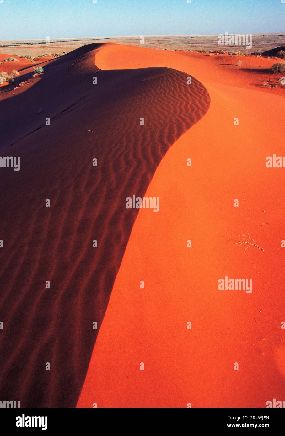 Australia. Red Centre. Simpson Desert sand dunes Stock Photo - Alamy