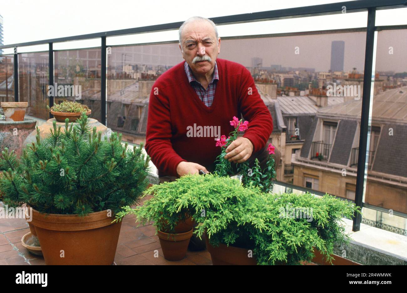 French actor Jacques Debary at home in Paris, c.1986 Stock Photo - Alamy