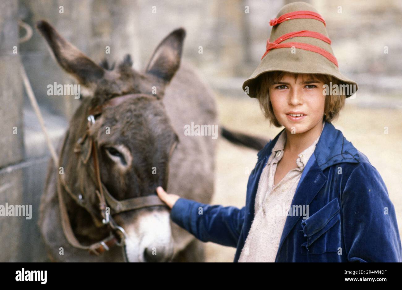 Sans famille An Orphan's Tale TV series (1981) France Director: Jacques ...