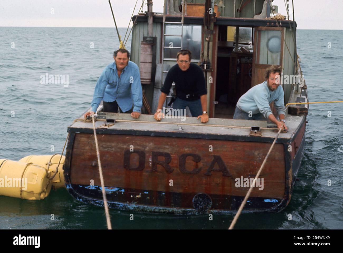 Jaws Year : 1975 USA Director : Steven Spielberg Robert Shaw, Roy Scheider, Richard Dreyfuss ...