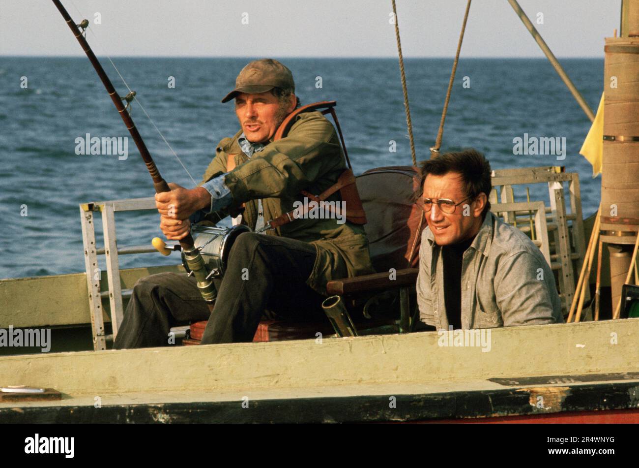 Jaws Year : 1975 USA Director : Steven Spielberg Robert Shaw, Roy Scheider Stock Photo - Alamy