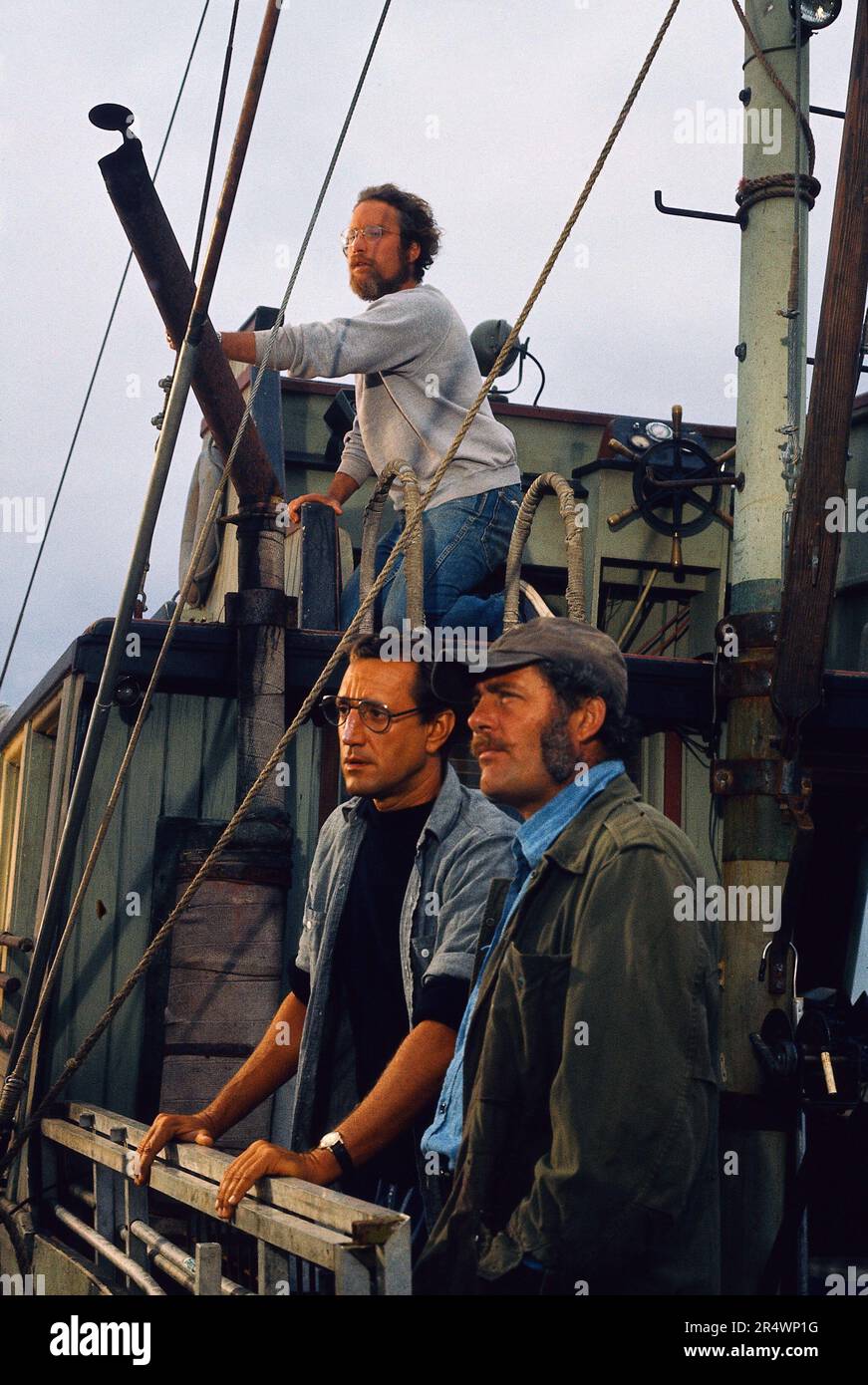 Jaws Year : 1975 USA Director : Steven Spielberg Richard Dreyfuss, Roy Scheider, Robert Shaw ...