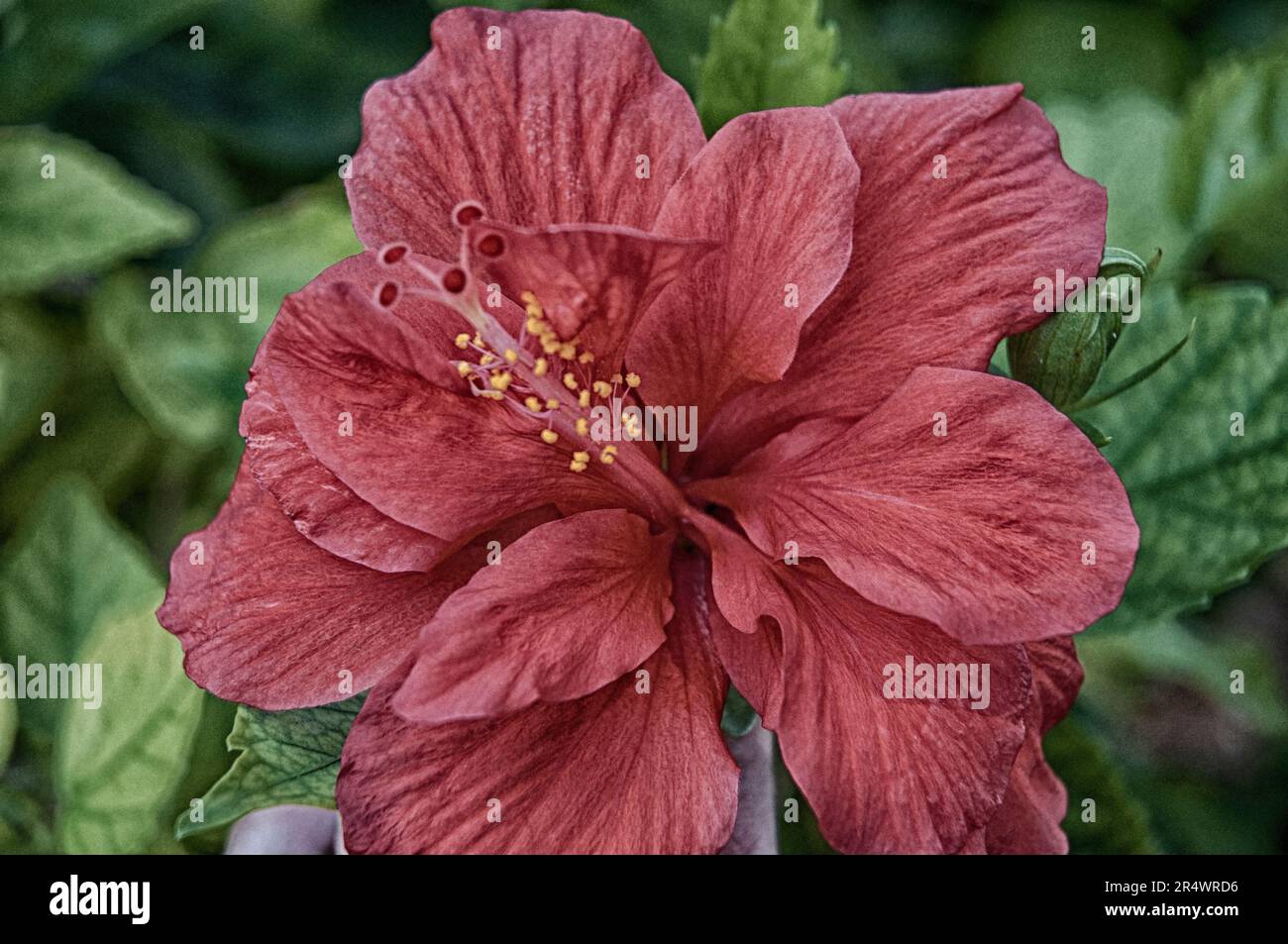 Variety different landscapes hi-res stock photography and images - Alamy