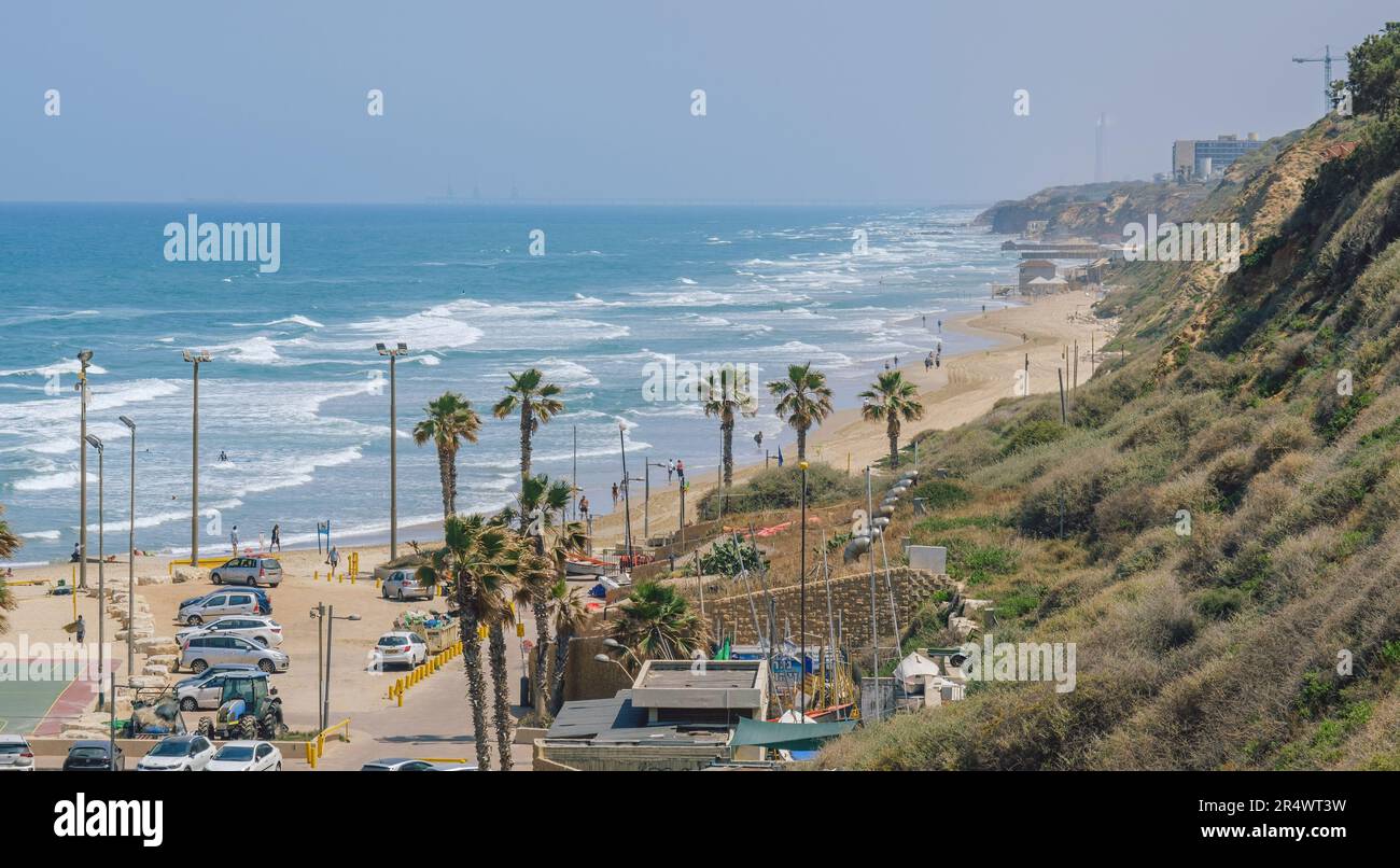 Embankment. Netanya, Israel. May 23, 2023. Palms on the beach in ...