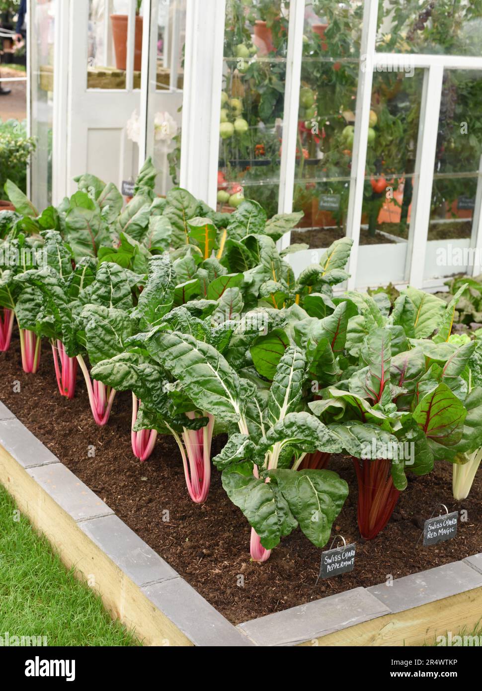 Chelsea flower show 2023 hi-res stock photography and images - Alamy