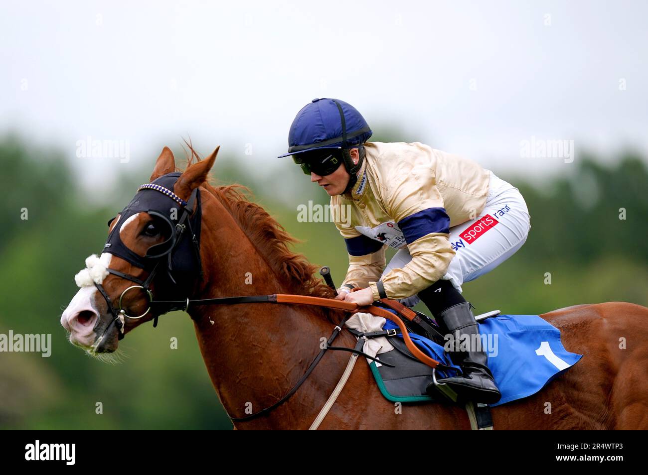 Doyle leicester 2023 hi-res stock photography and images - Alamy