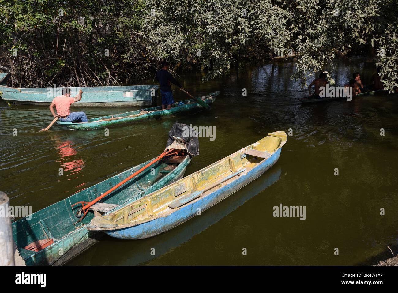 Nicolas Remene / Le Pictorium - Tumbes National Mangrove Sanctuary - 24 ...