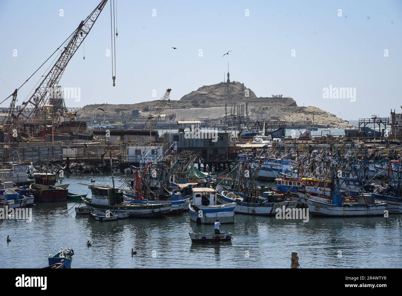 Nicolas Remene / Le Pictorium - El Nino phenomenon on the north coast ...