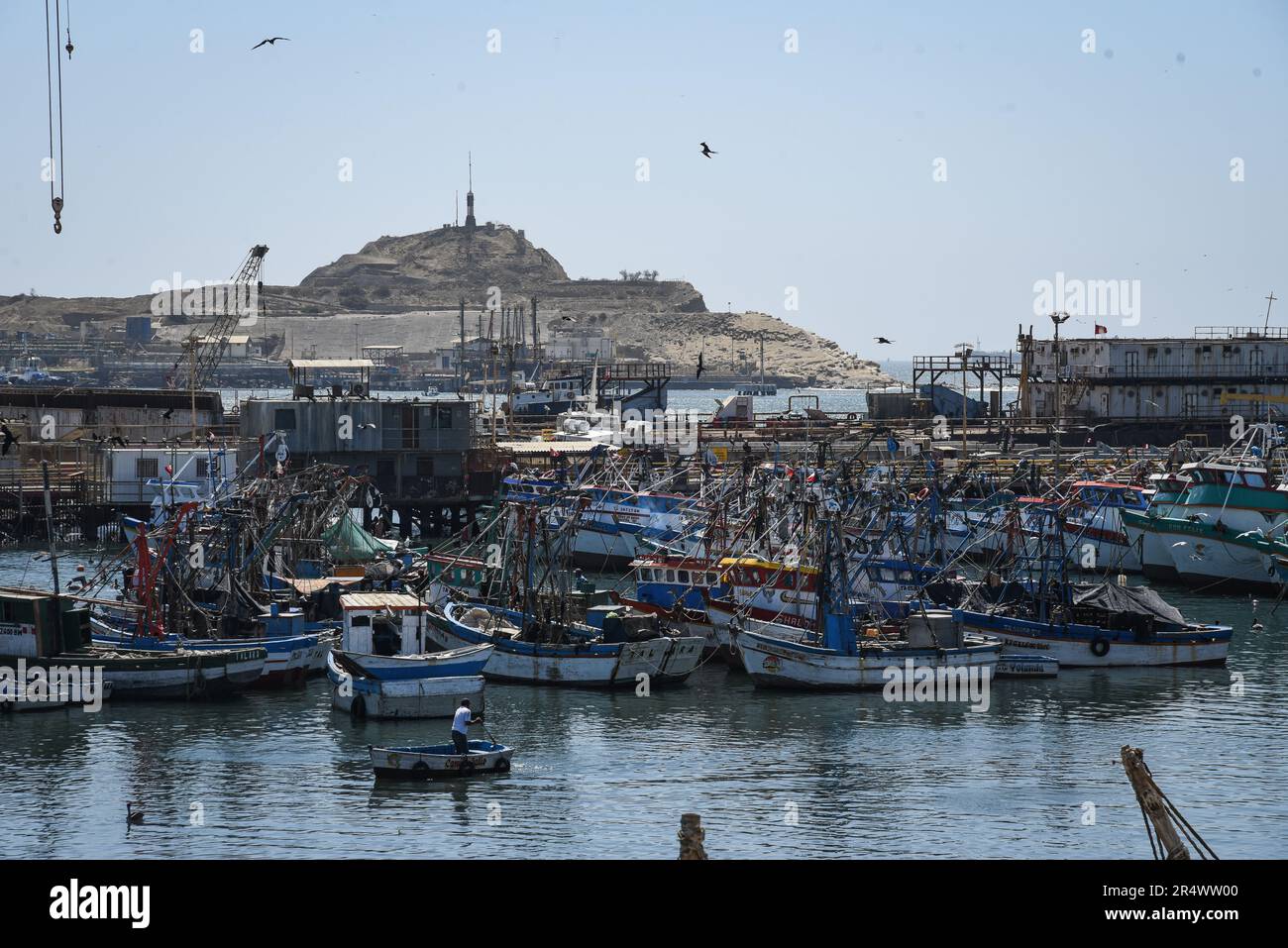 Talara peru hi-res stock photography and images - Alamy