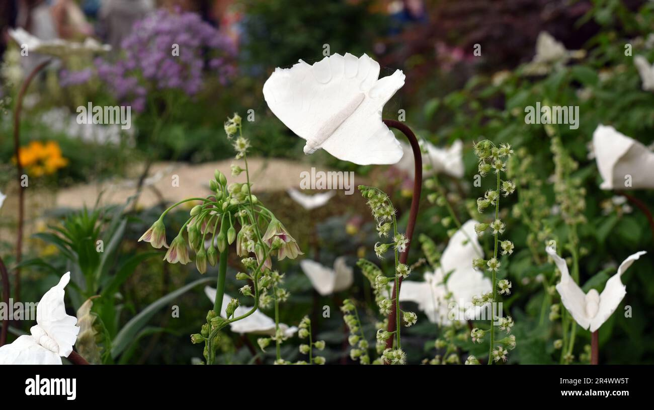 Talitha arts hi-res stock photography and images - Alamy