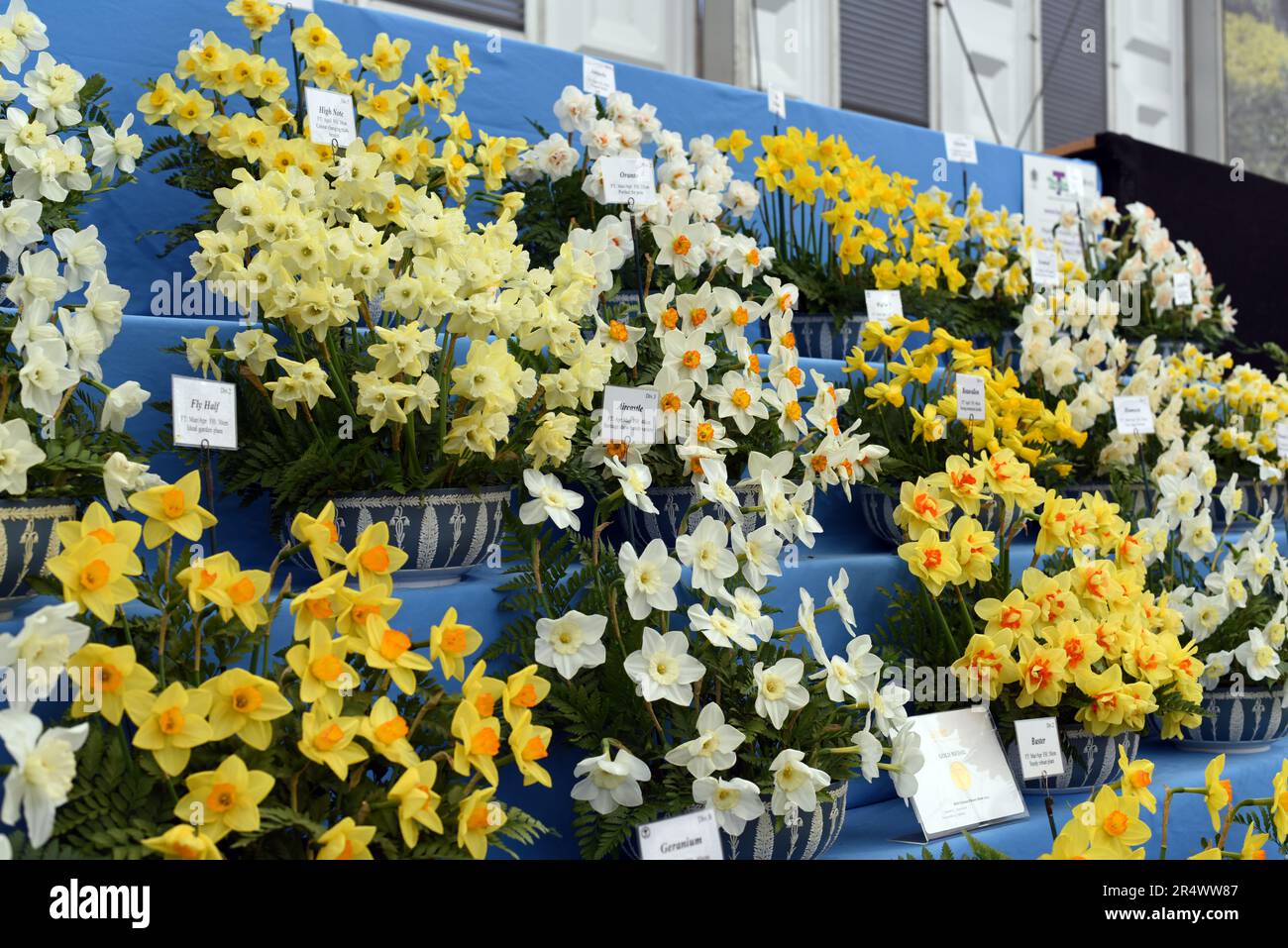 Chelsea castle hi-res stock photography and images - Alamy