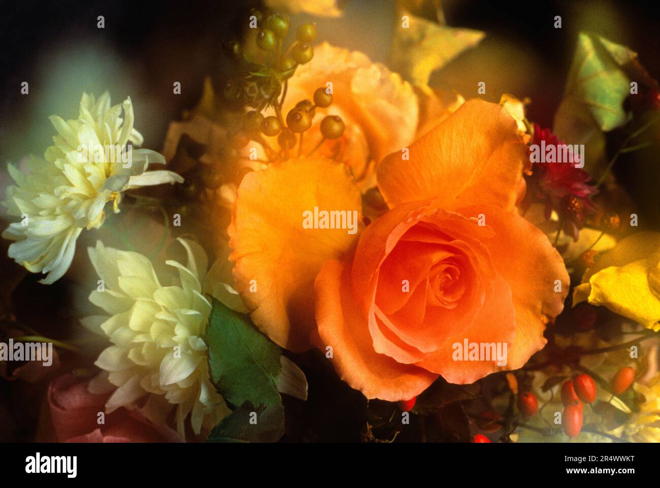 Artistic composition of flowers hi-res stock photography and images - Alamy