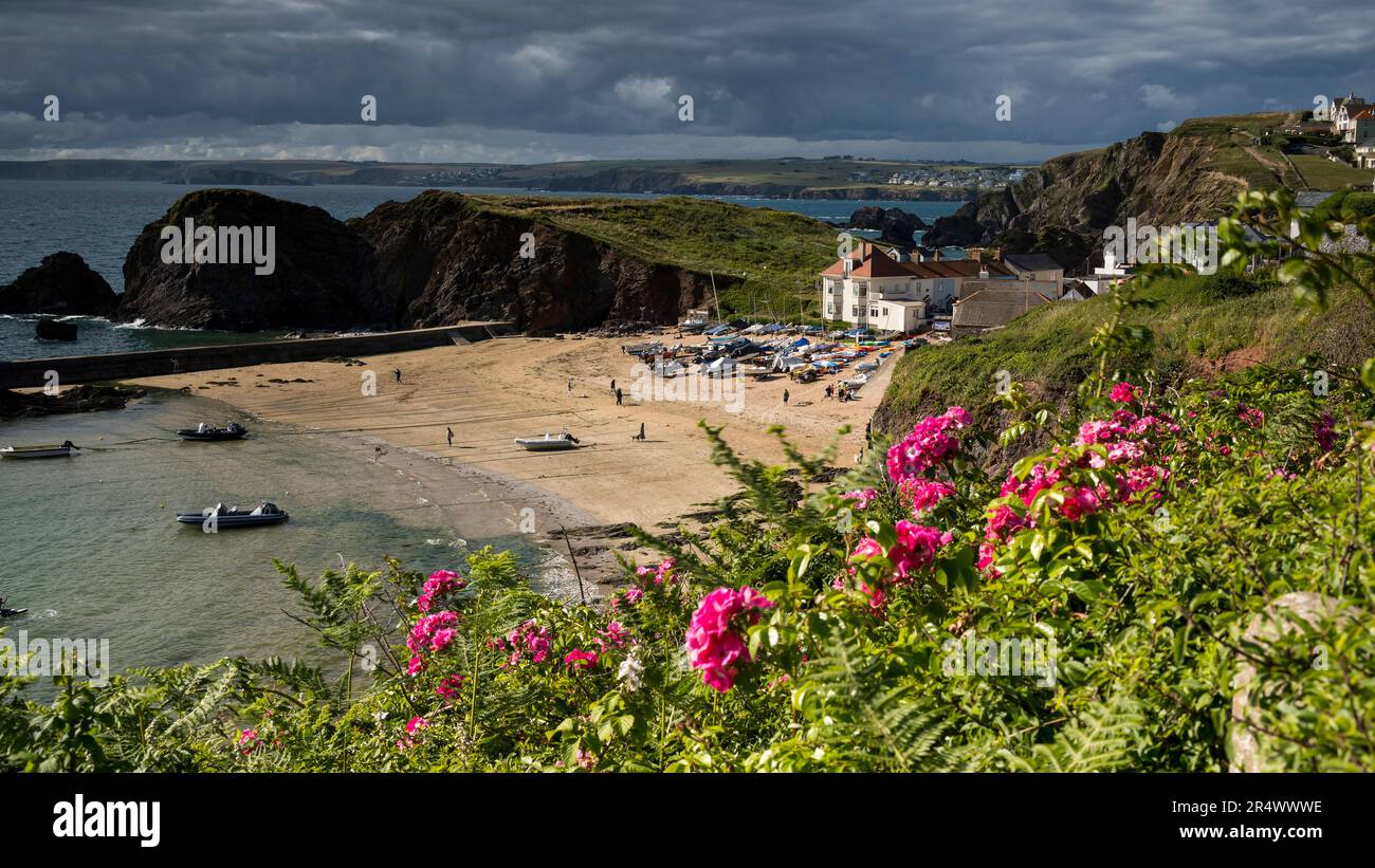 Salcombe sunset hi-res stock photography and images - Alamy