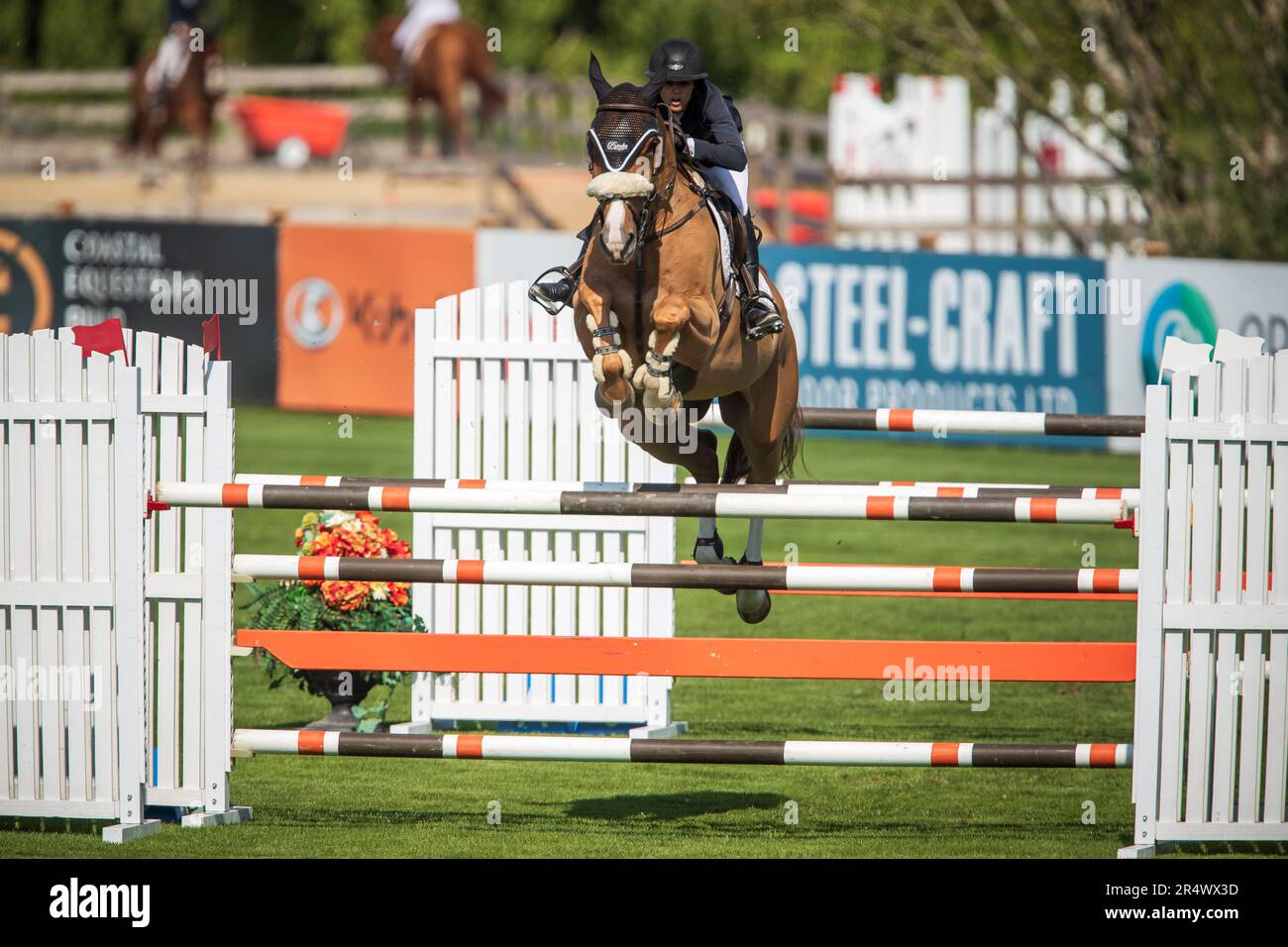 Ashley Papalia of Canada competes during the Major League Show Jumping ...