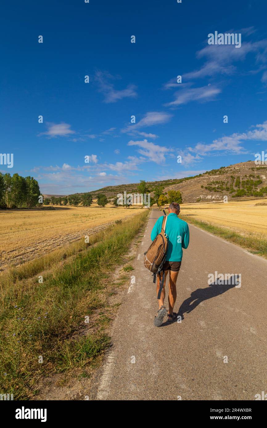 Navarre, Spain, 26 August, 2022: Pilgrim walk along the Camino De ...