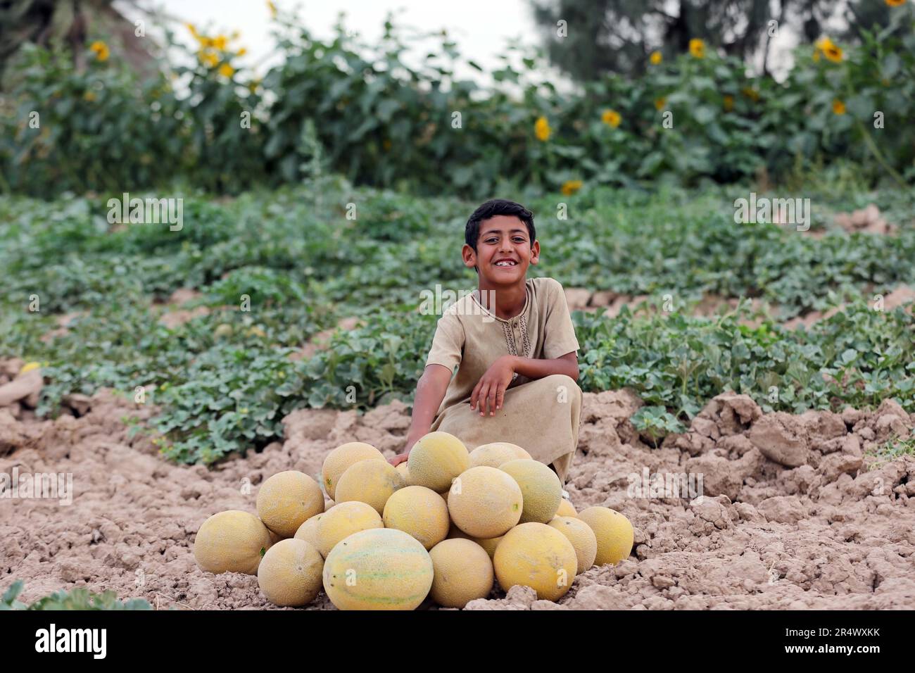 Farm child iraq hi-res stock photography and images - Alamy
