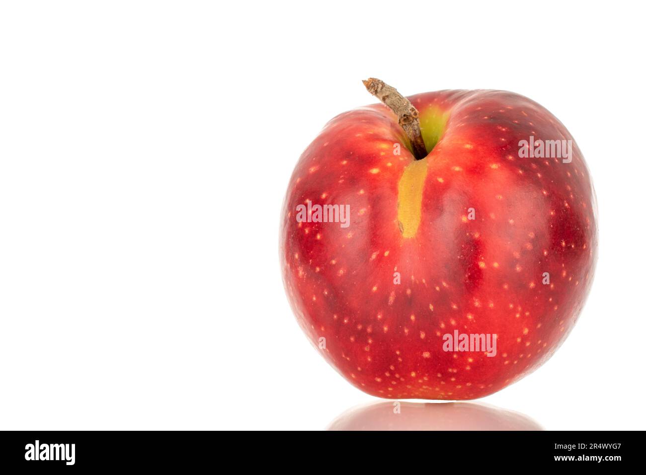 One red apple, macro, isolated on white background Stock Photo - Alamy