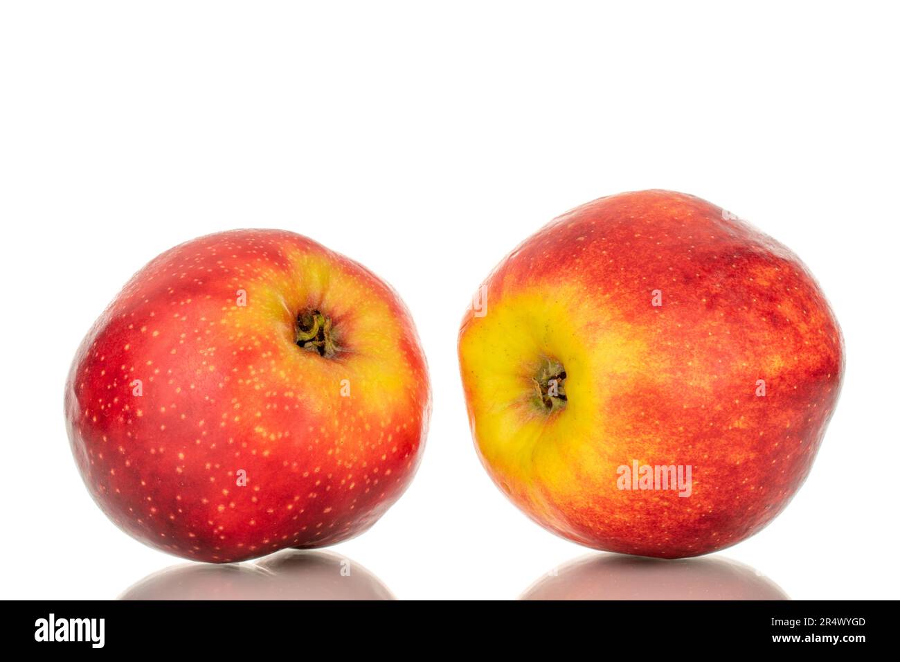 Two red apples, macro, isolated on white background Stock Photo - Alamy