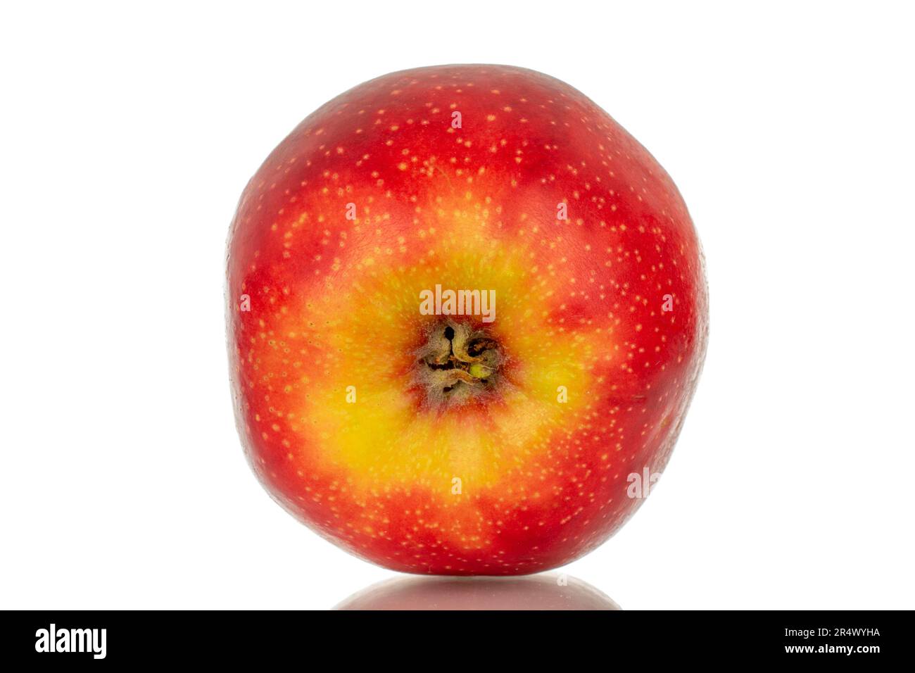 One red apple, macro, isolated on white background Stock Photo - Alamy