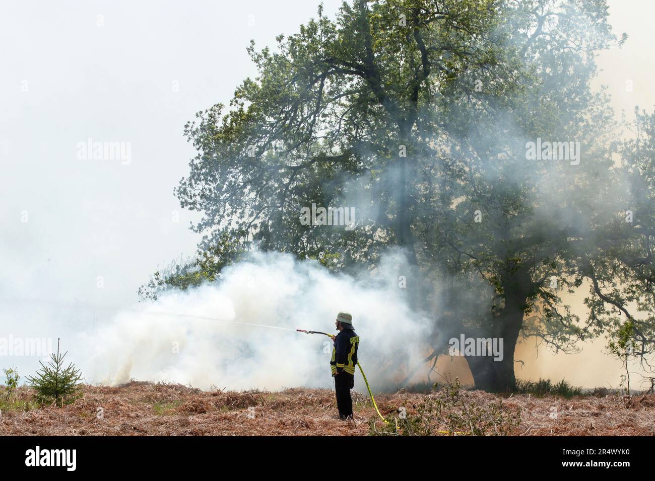 Aachen, Germany. 30th May, 2023. Firefighters are trying to extinguish ...