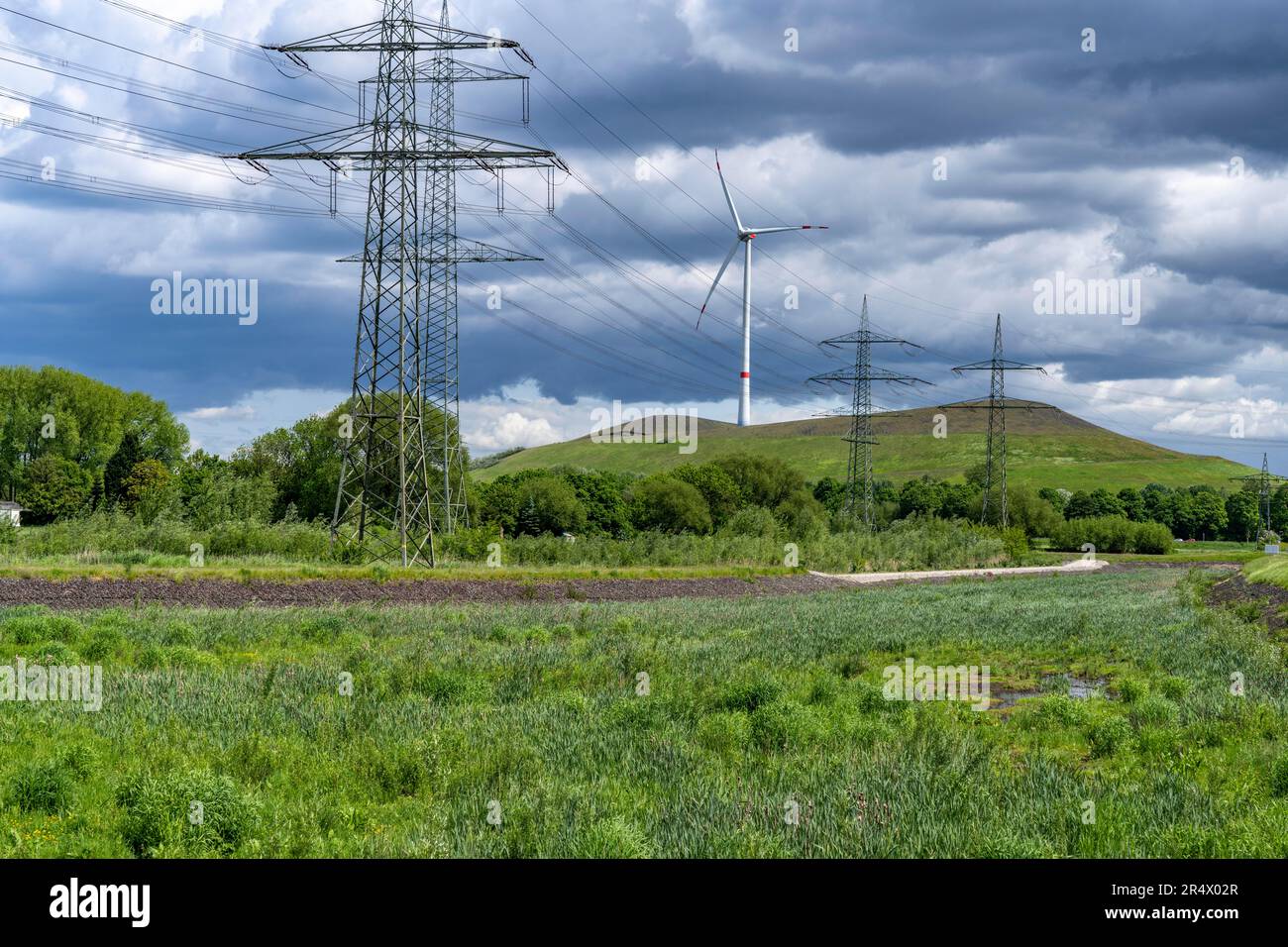 Boyetal-Ost landscape conservation area, floodplain meadows, lower ...