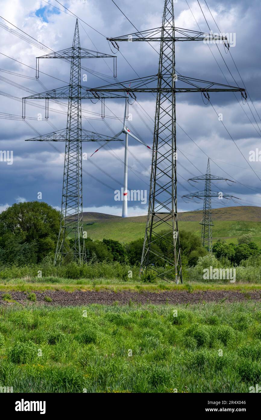 Boyetal-Ost landscape conservation area, floodplain meadows, lower ...