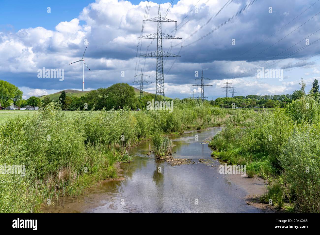 Boyetal-Ost landscape conservation area, floodplain meadows, lower ...
