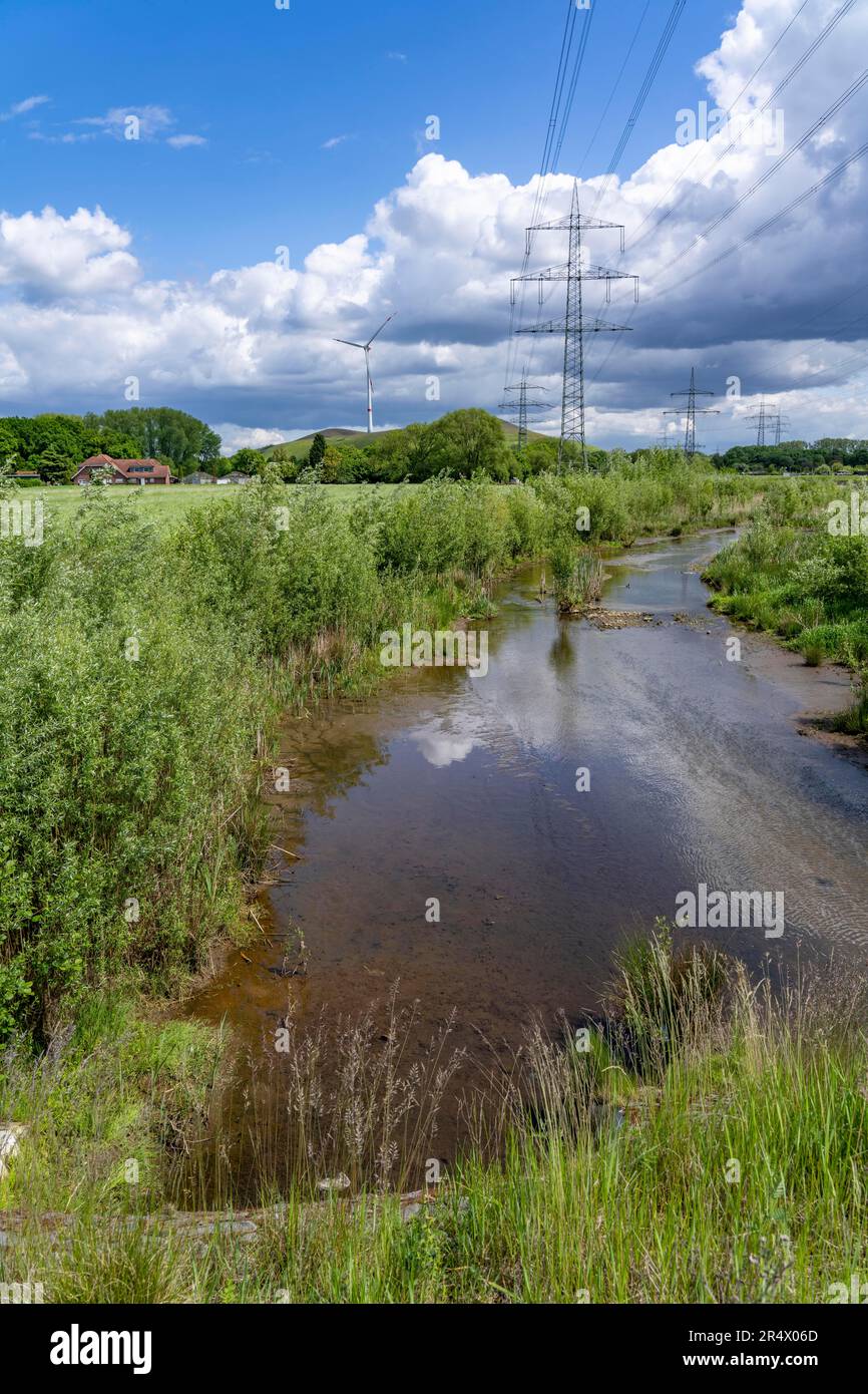 Boyetal-Ost landscape conservation area, floodplain meadows, lower ...
