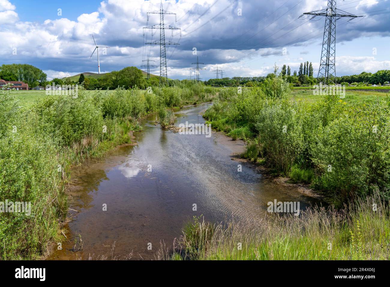 Boyetal-Ost landscape conservation area, floodplain meadows, lower ...