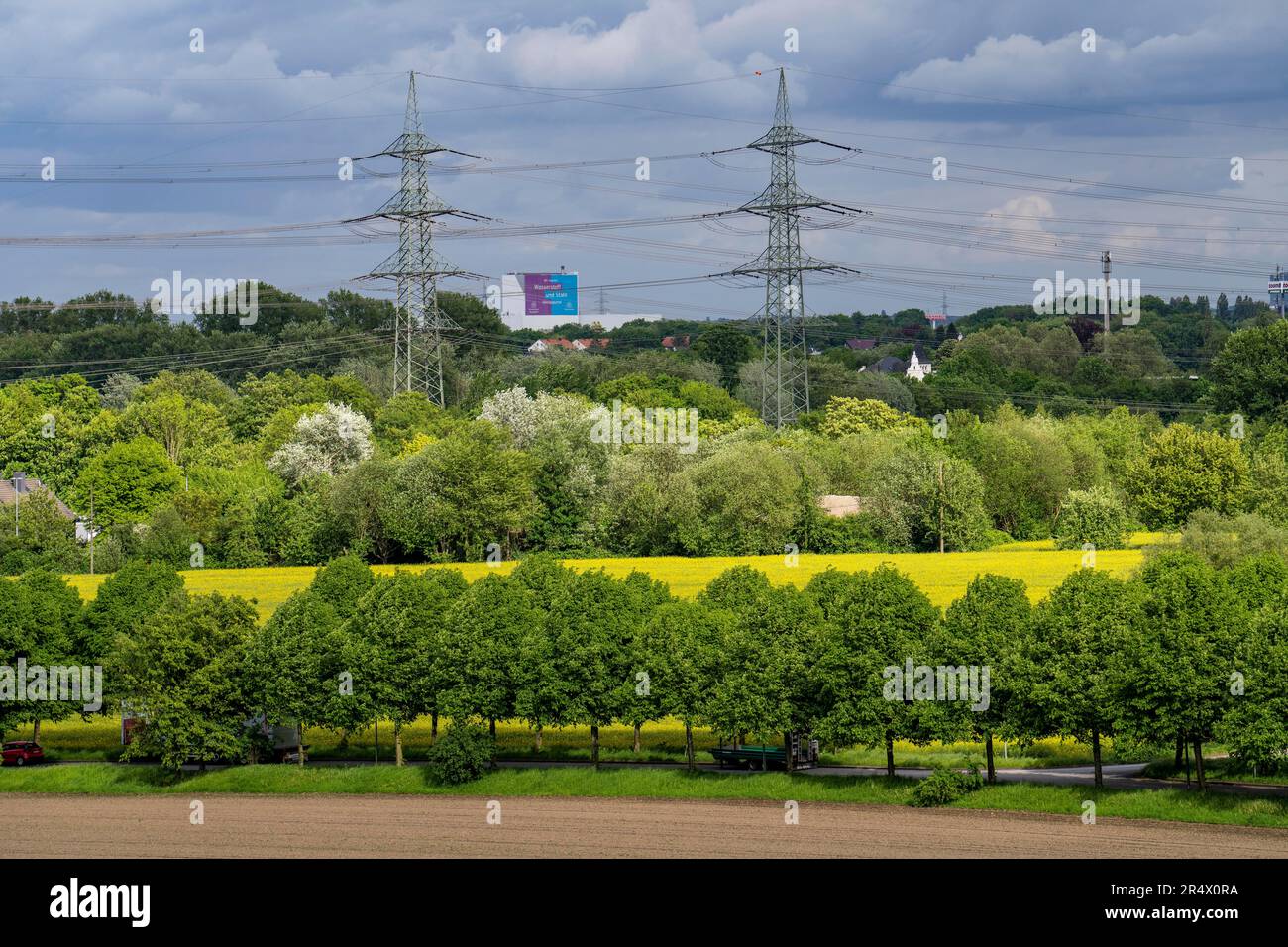Mechtenberg nature reserve hi-res stock photography and images - Alamy